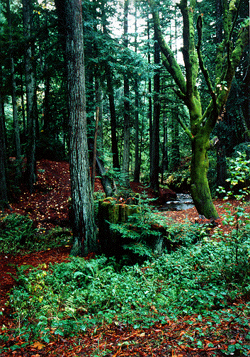 Natural Resources DataBase